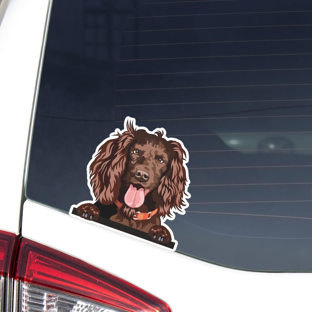 Boykin Spaniel Car Decal Sticker / Peeking Dark Chocolate Dog Head Face ...