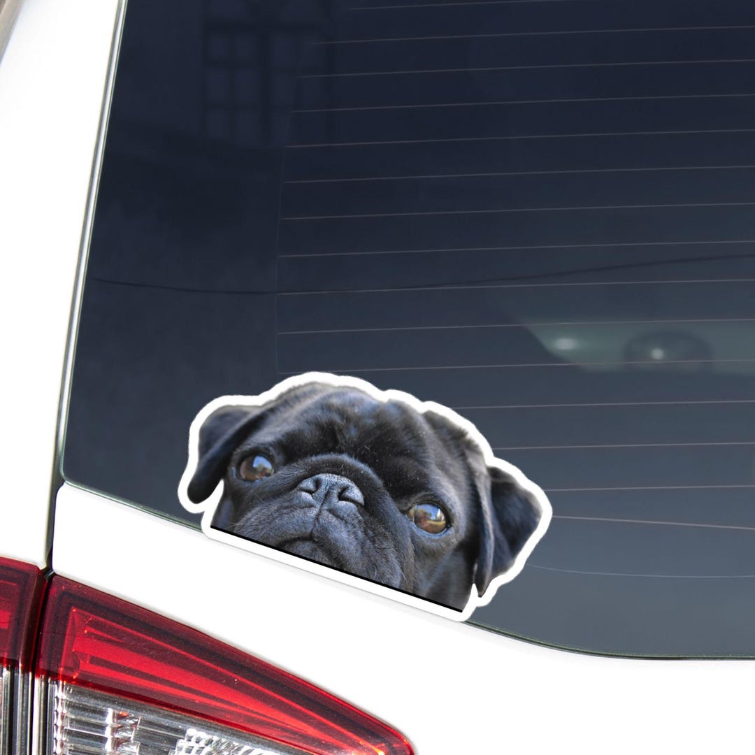 Black Pug Car Decal Sticker / Peeking Realistic Pug Dog Head Face ...