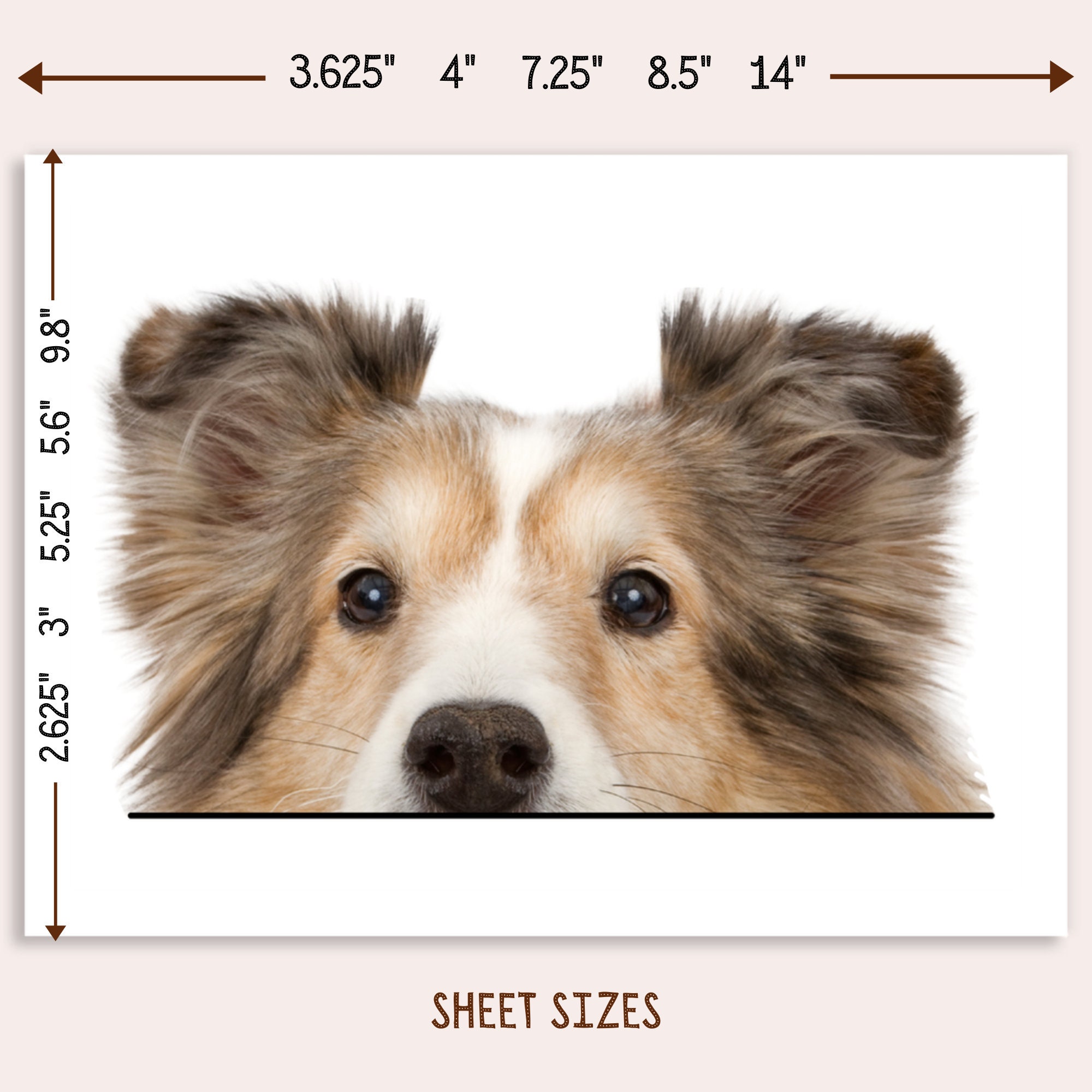 Light Sable Shetland Sheepdog Car Decal Sticker / Peeking Realistic ...