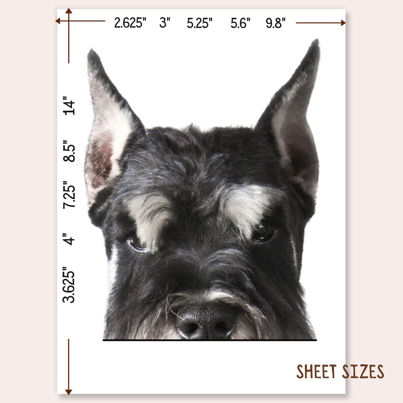 Giant Schnauzer Car Decal - Peeking Riesenschnauzer Cropped Ears Dog ...