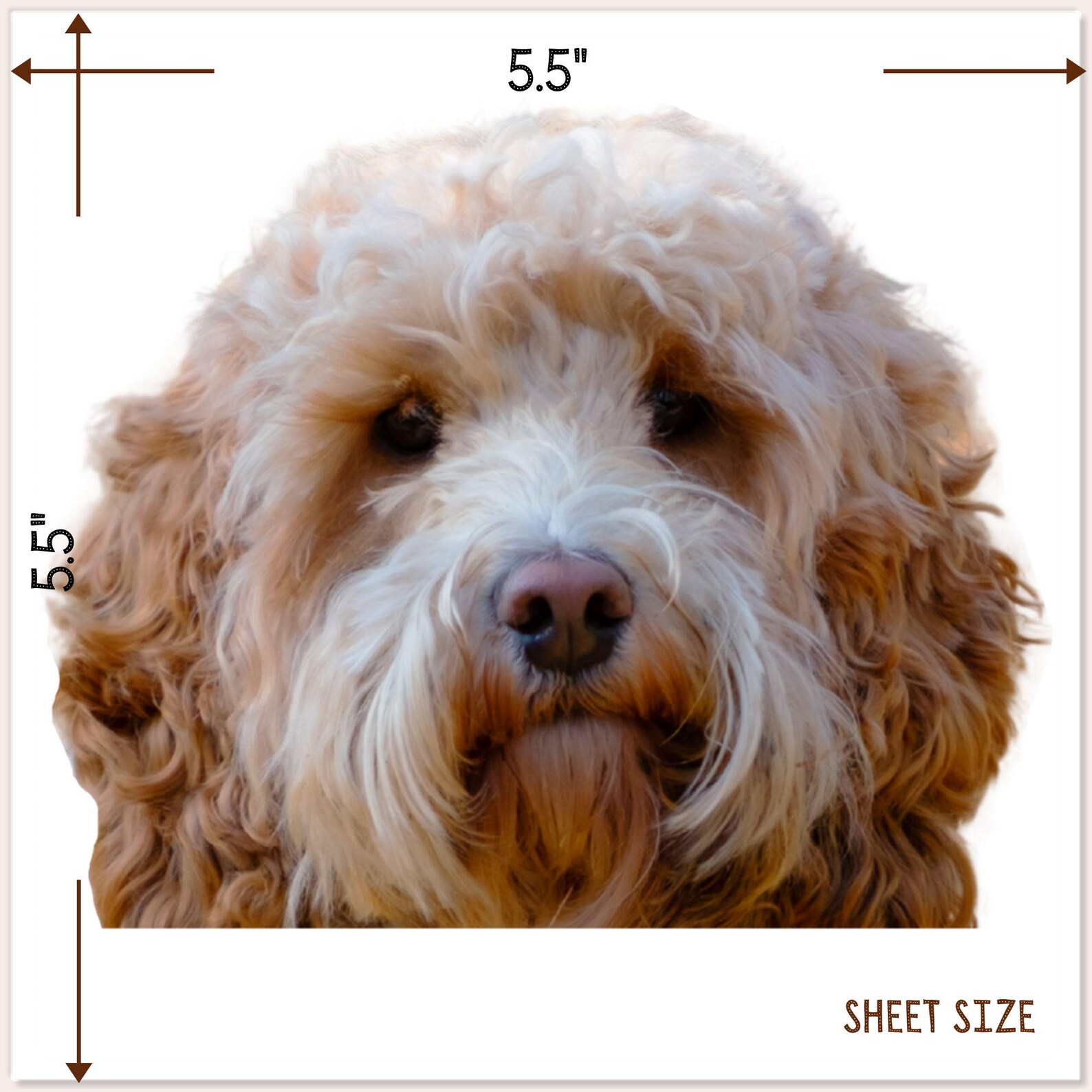 Cockapoo Car Decal: Peeking White Sable Dog Waterproof Vinyl Sticker - Etsy