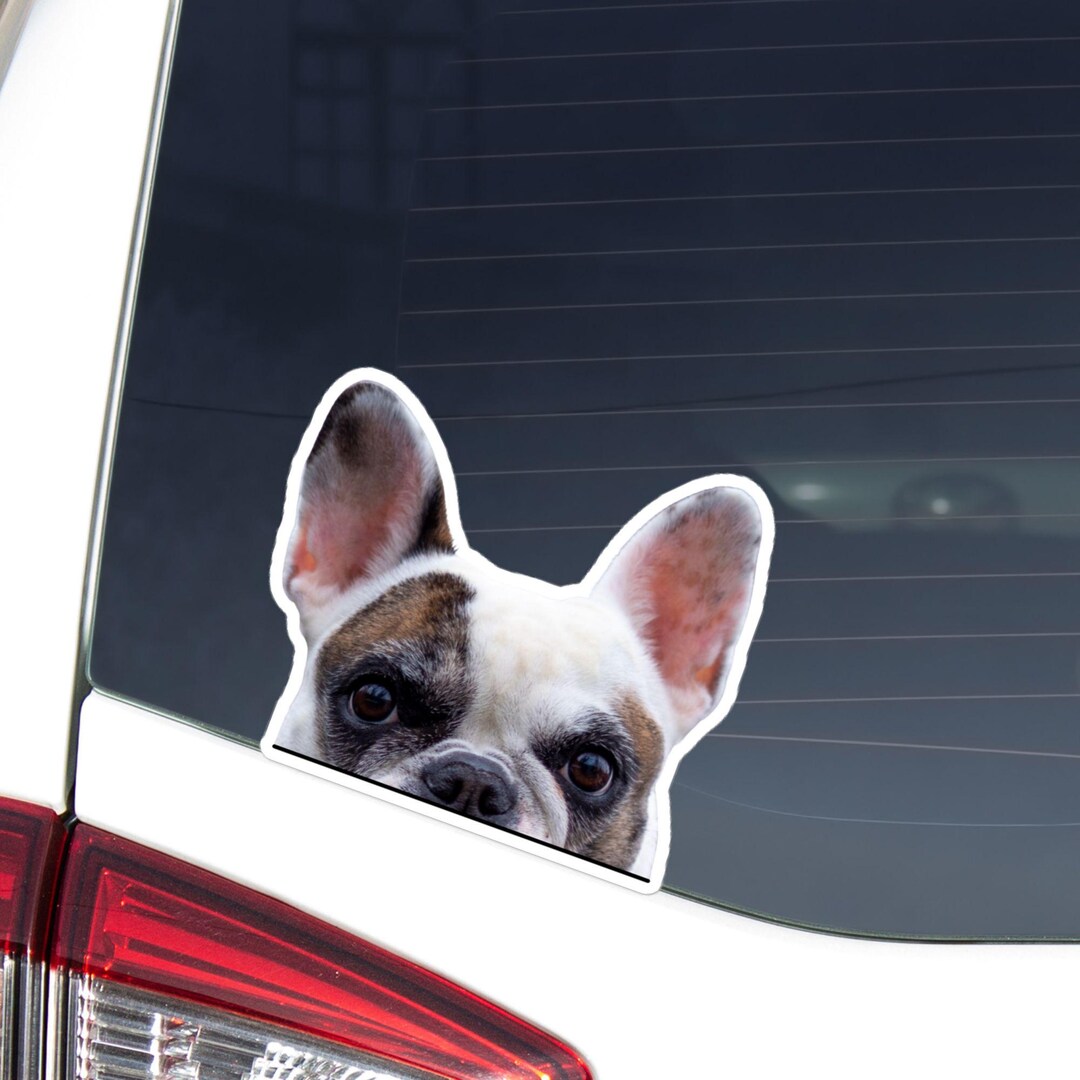 Peeking French Bulldog Car Decal - Realistic Brown Patch Frenchie ...