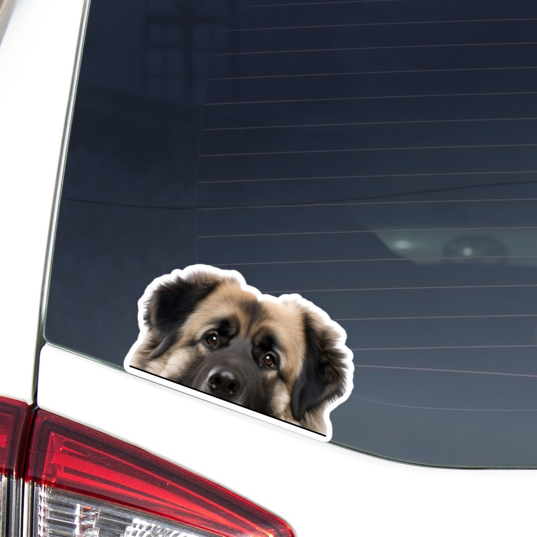 Sand-colored Leonberger Car Decal Sticker / Realistic Peeking - Etsy
