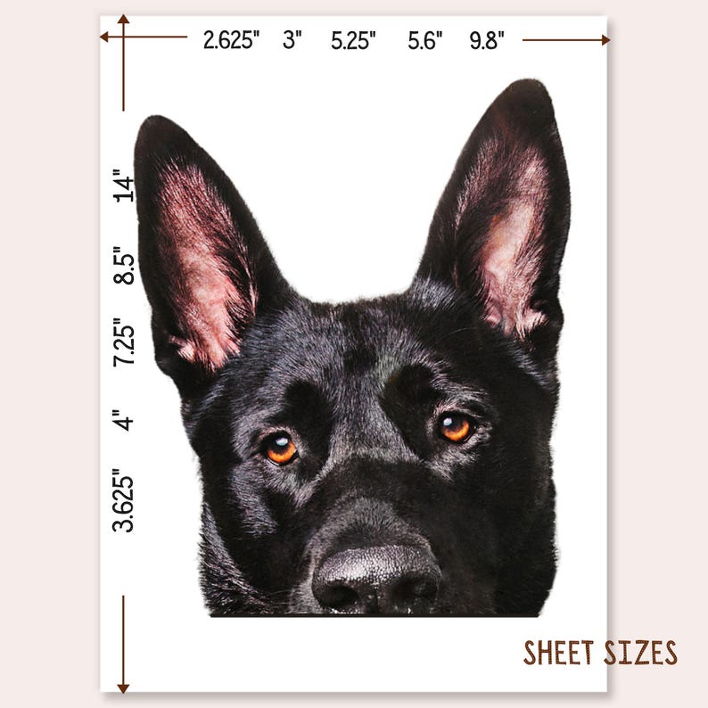 Dutch Shepherd Car Decal - Peeking Black Dog Head, Waterproof Vinyl ...