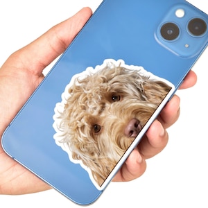 Peeking Cockapoo Car Decal Sticker / Realistic Cream Cockapoo Dog Head ...