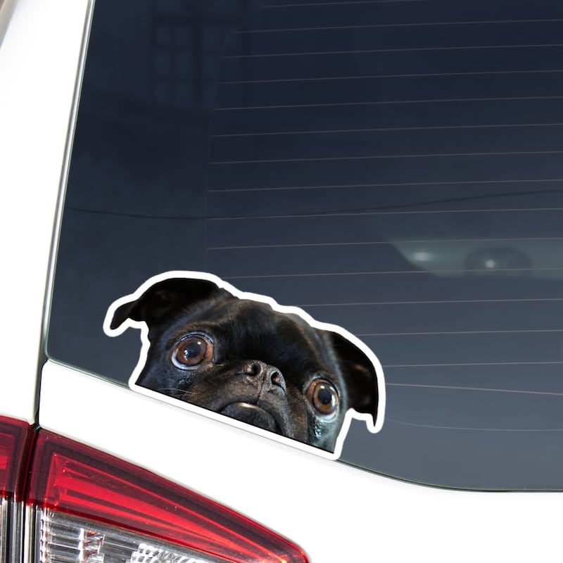 Pug Magnet - Etsy