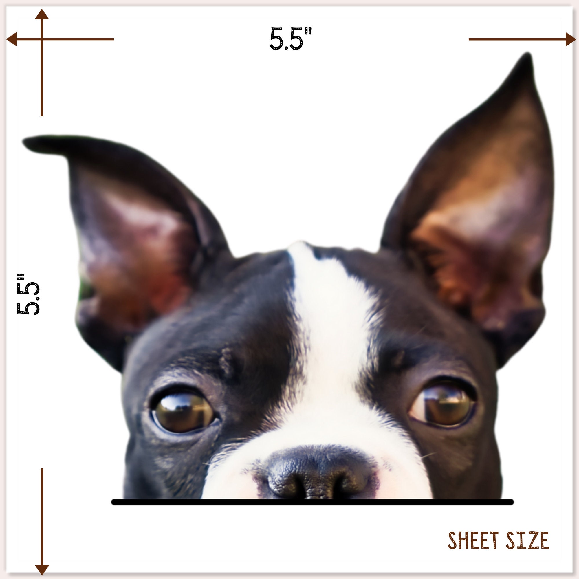 Black&white Boston Terrier Car Decal Sticker / Peeking - Etsy