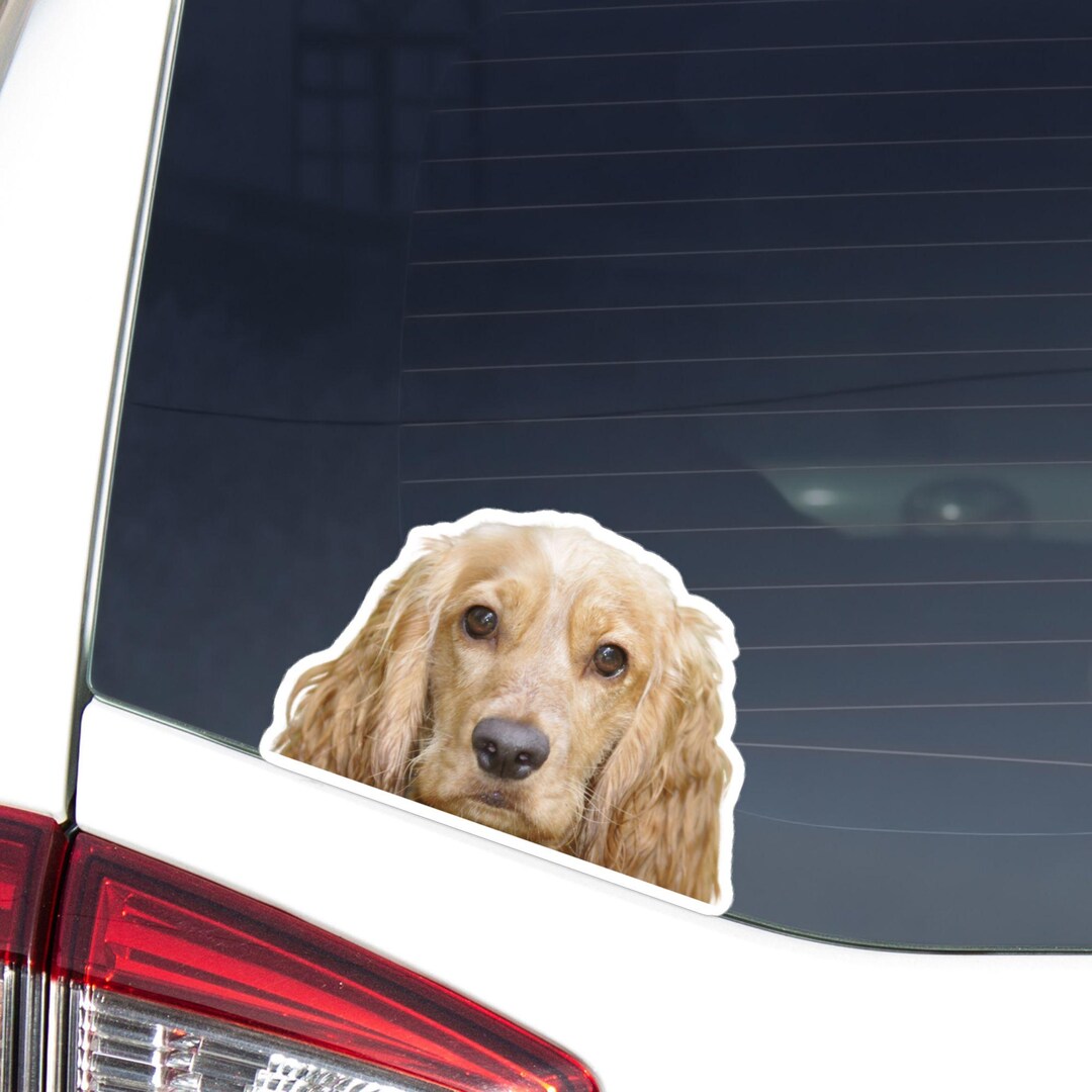 Lemon Cocker Spaniel Car Decal - Peeking Dog Face Waterproof Vinyl ...