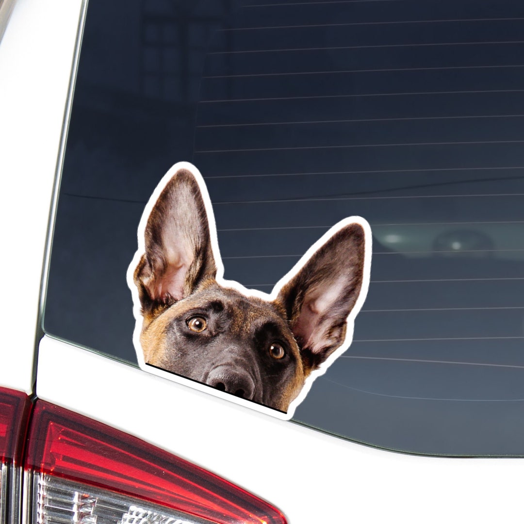 Belgian Malinois Car Decal Sticker / Peeking Realistic Dog Head Face ...