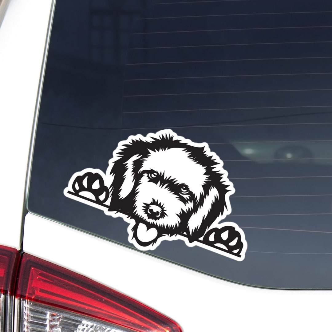 Peeking Cockapoo Car Decal Sticker / White Cockapoo Dog Head - Etsy