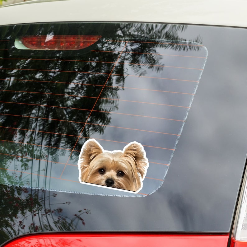Colden Yorkie Car Decal: Peeking Yorkshire Terrier Dog Head Sticker - Etsy