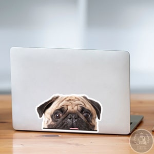 Peeking Pug Car Decal Sticker / Looking Out Pug Bumper Window Laptop ...