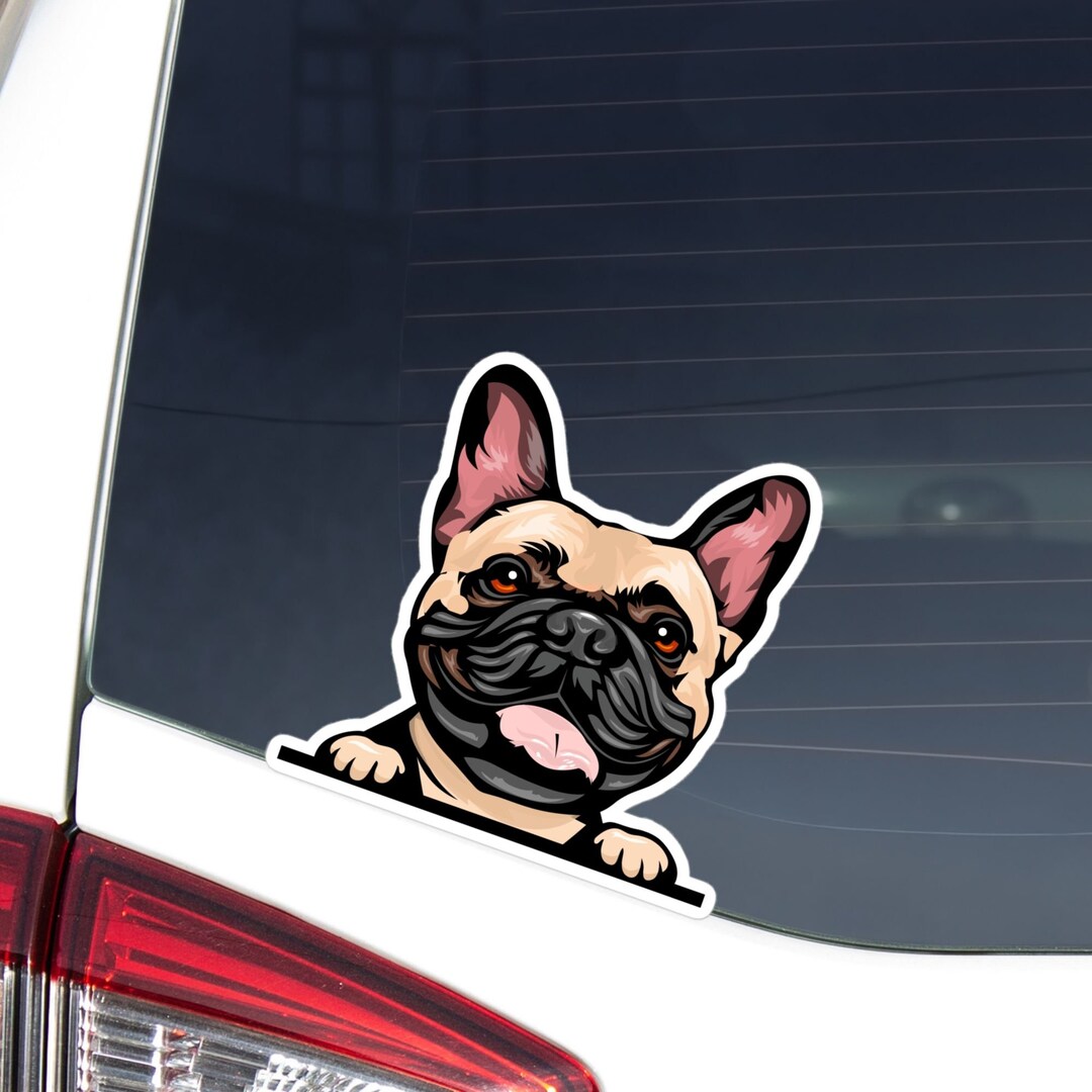 Realistic French Bulldog Car Decal / Peeking Fawn Frenchie Car Sticker ...