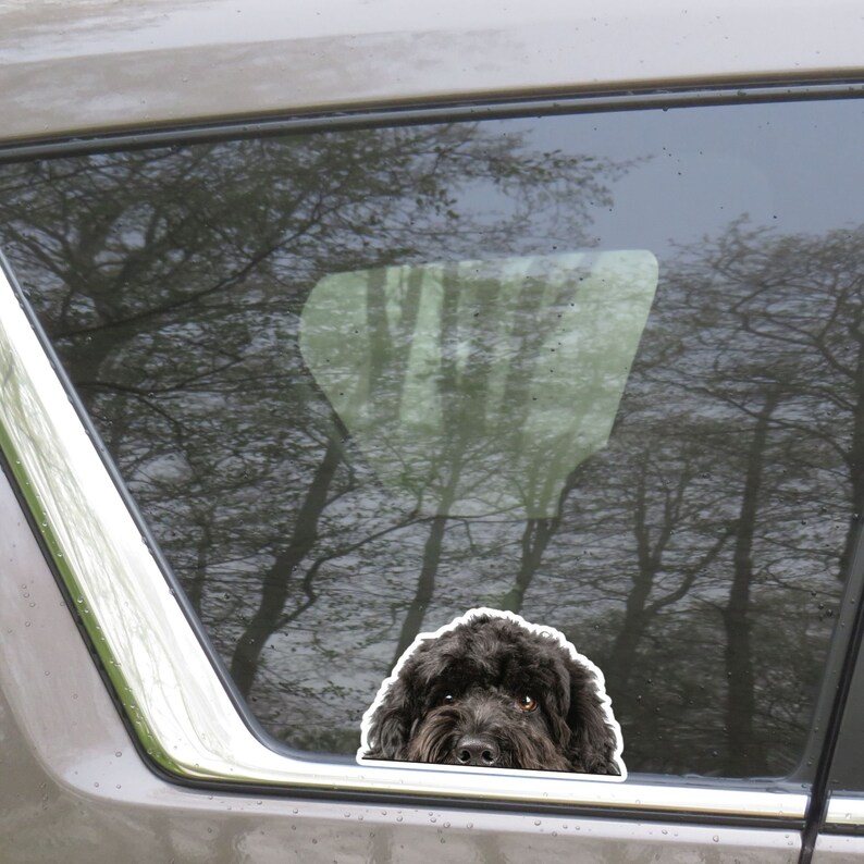 Black Cockapoo Car Decal - Peeking Dog Waterproof Vinyl Sticker - Etsy