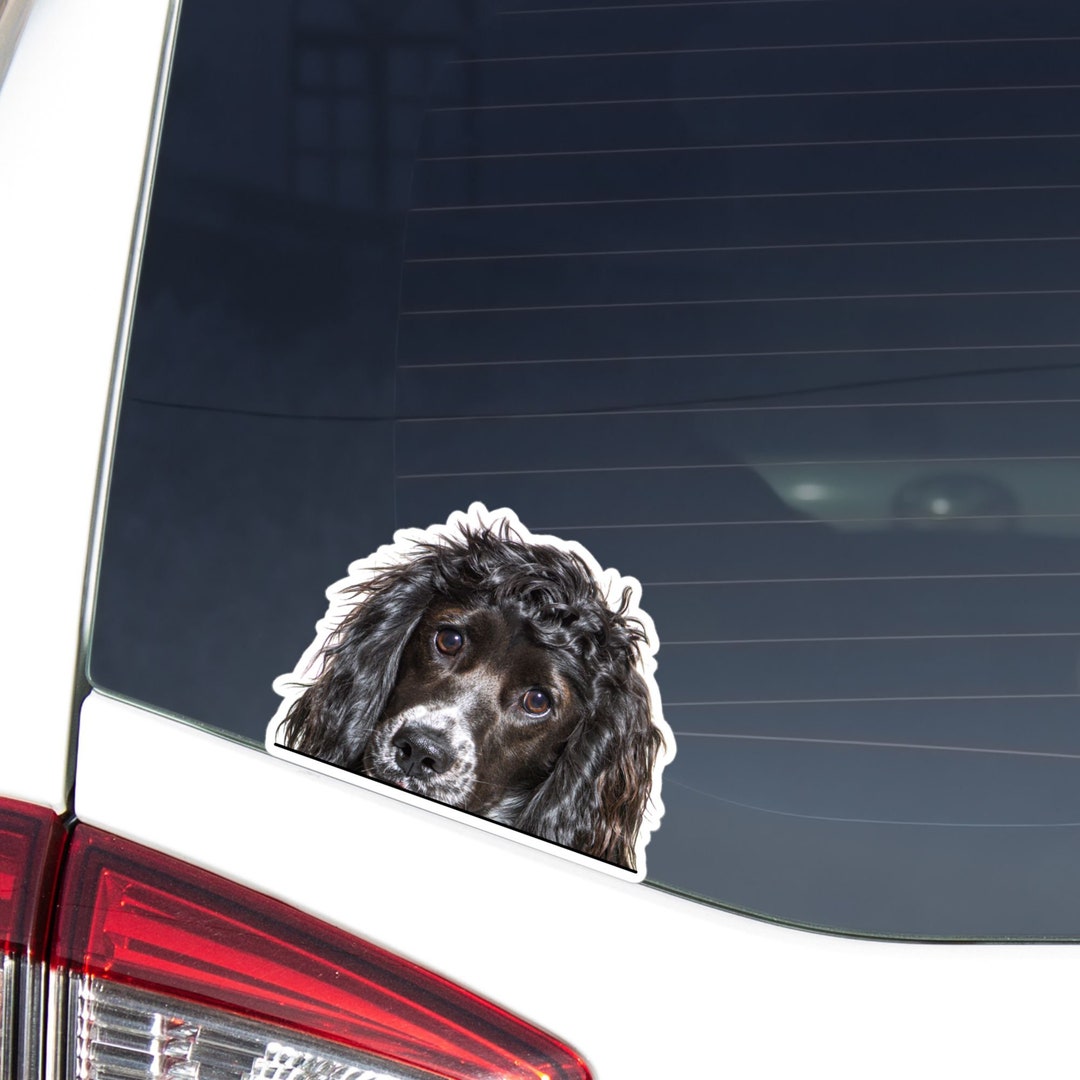 English Cocker Spaniel Car Decal Sticker / Realistic Black Cocker ...