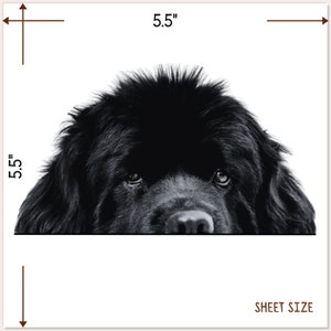 Peeker Newfoundland Car Decal Sticker / Realistic Black Dog Head ...