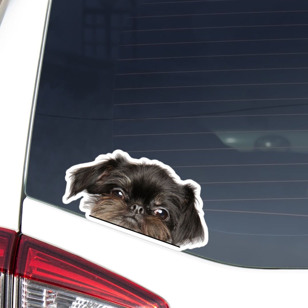 Peeking Brussels Griffon Car Decal Sticker / Black Tan Griffon Dog Head ...