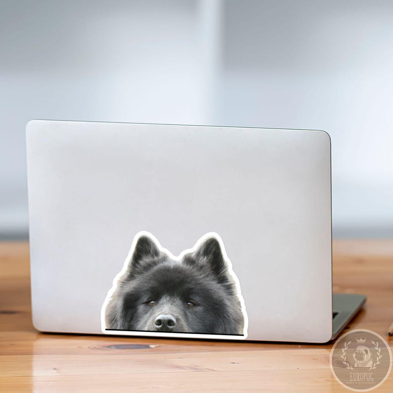 Eurasier Car Decal: Peeking Realistic Dog Face, Waterproof Vinyl ...
