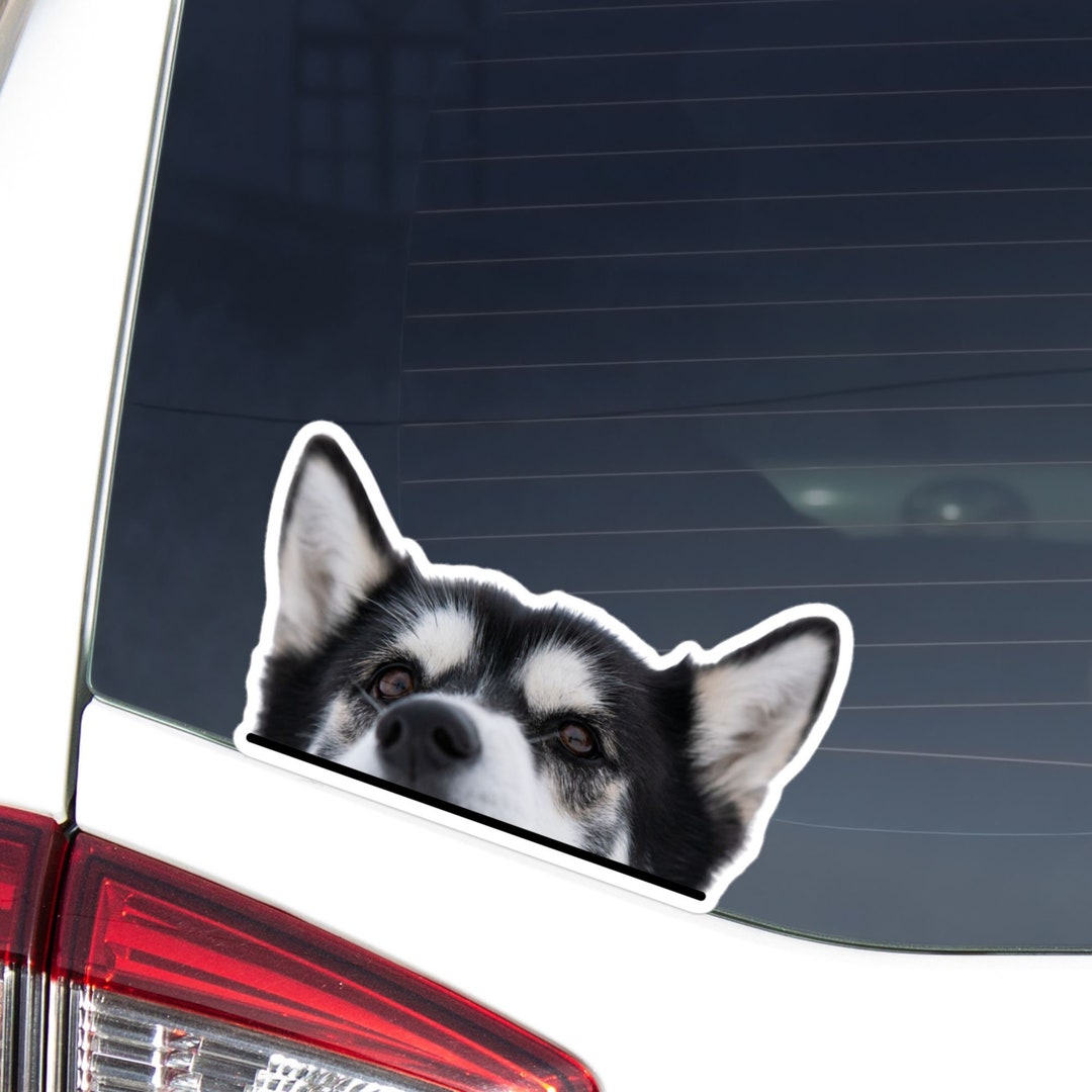 Realistic Black Husky Sticker Decal / Peeking Siberian Husky Face ...