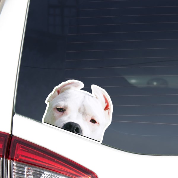 Dogo Argentino Car Decal - Etsy
