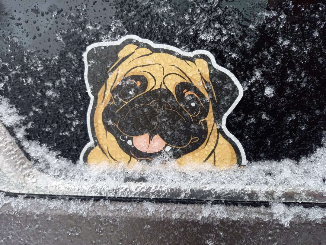 Peek Pug Car Decal / Pug Car Sticker Bumper Window Vinyl Sticker ...