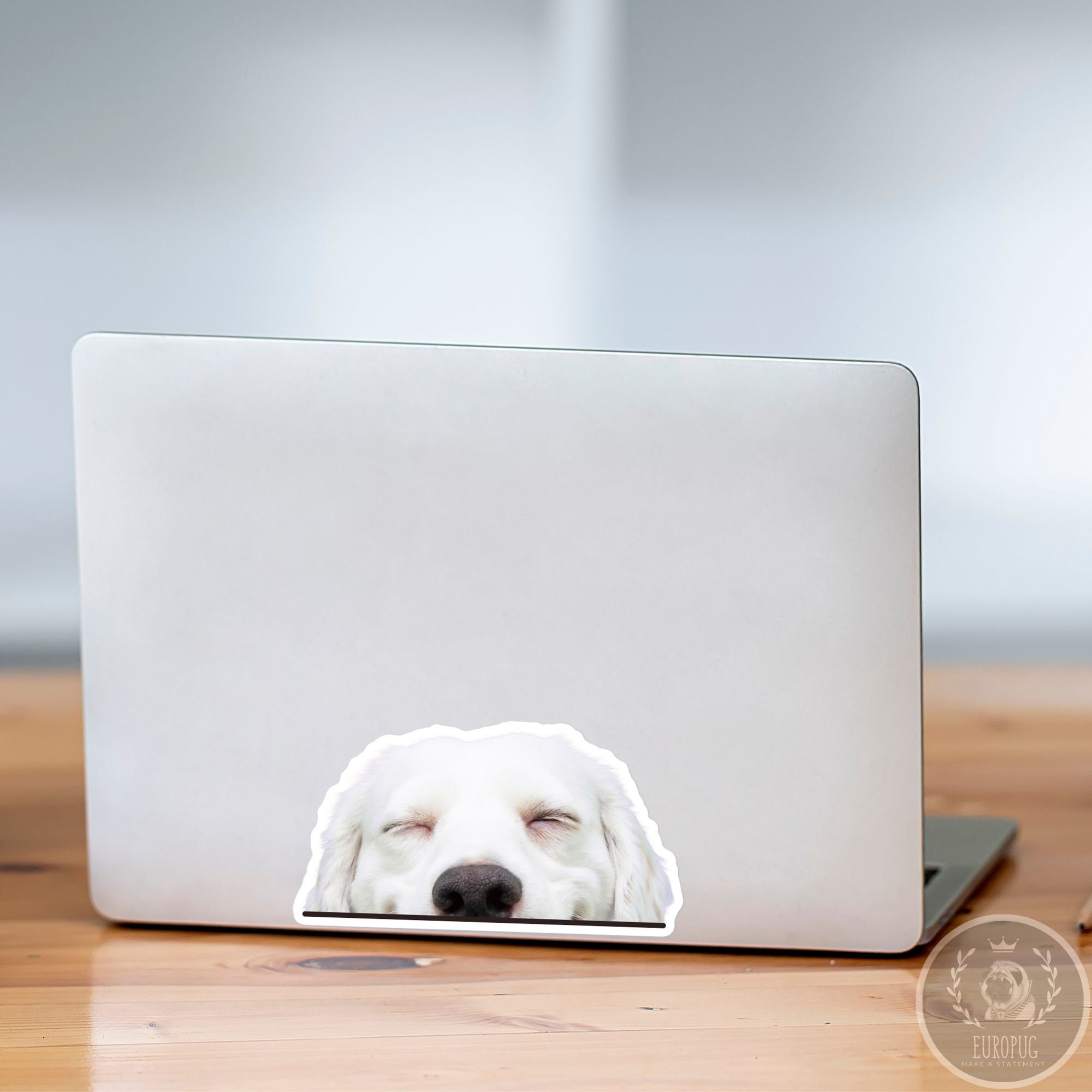 Peeking Labrador Retriever Car Decal Sticker / Realistic White - Etsy