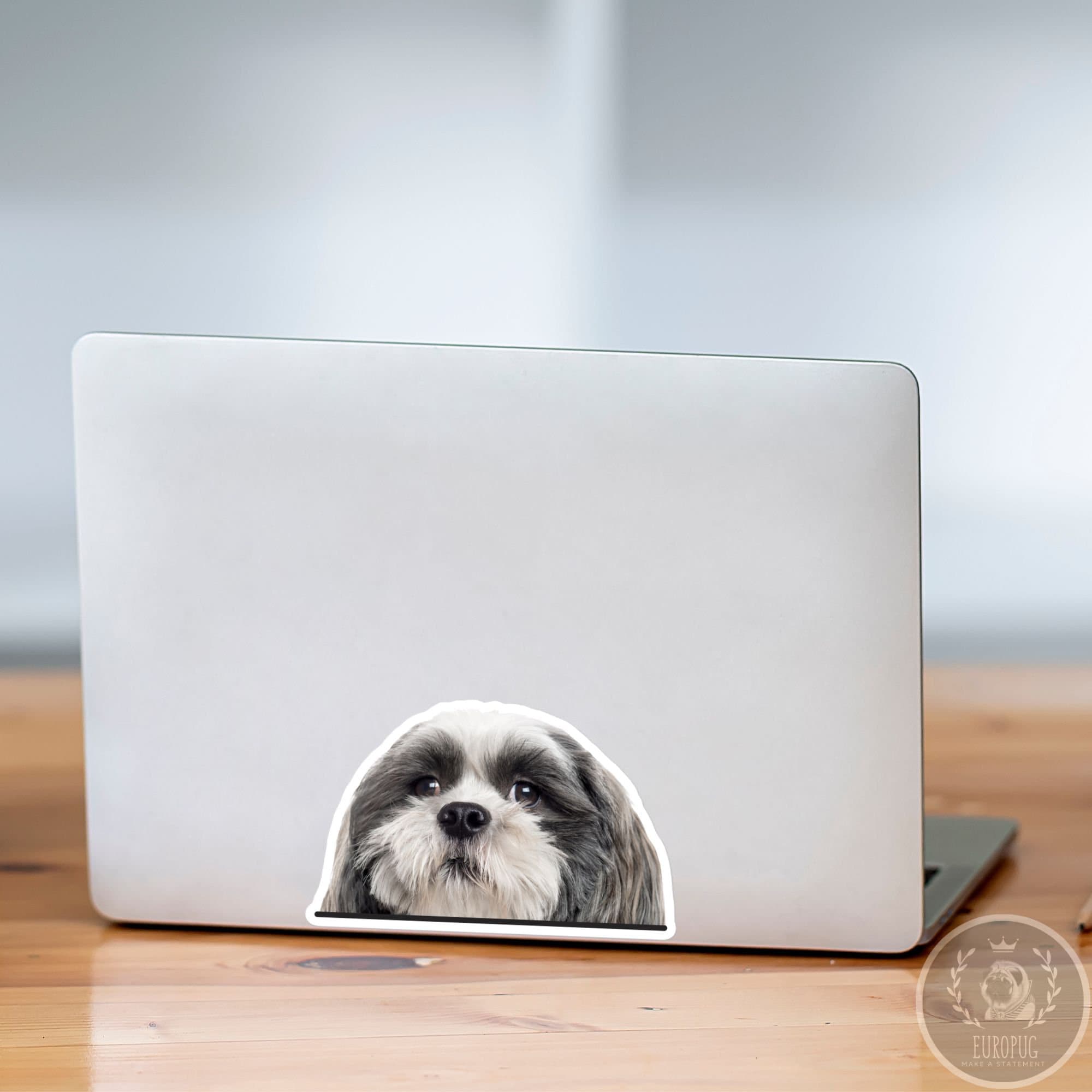 Black&white Shih Tzu Car Sticker Decal / Peeking Realistic - Etsy
