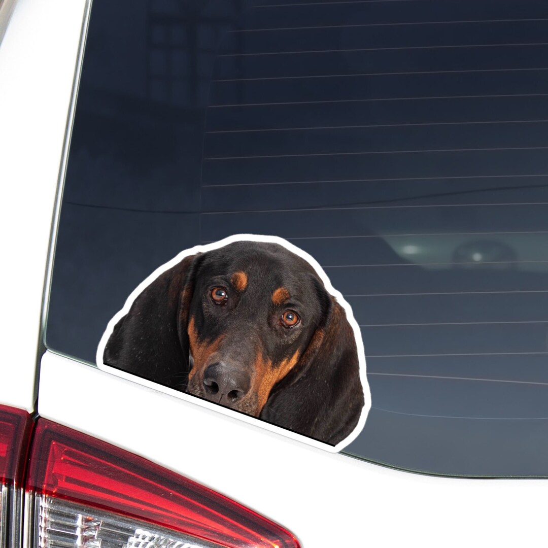 Black & Tan Coonhound Car Decal Sticker / Peeking Realistic Dog Head ...