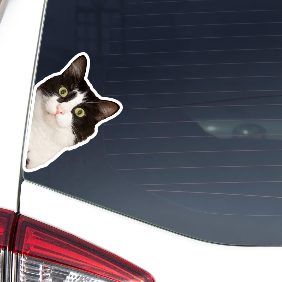 Tuxedo Cat Car Sticker Decal / Peeking Scaredy Cat Vinyl / Waterproof ...