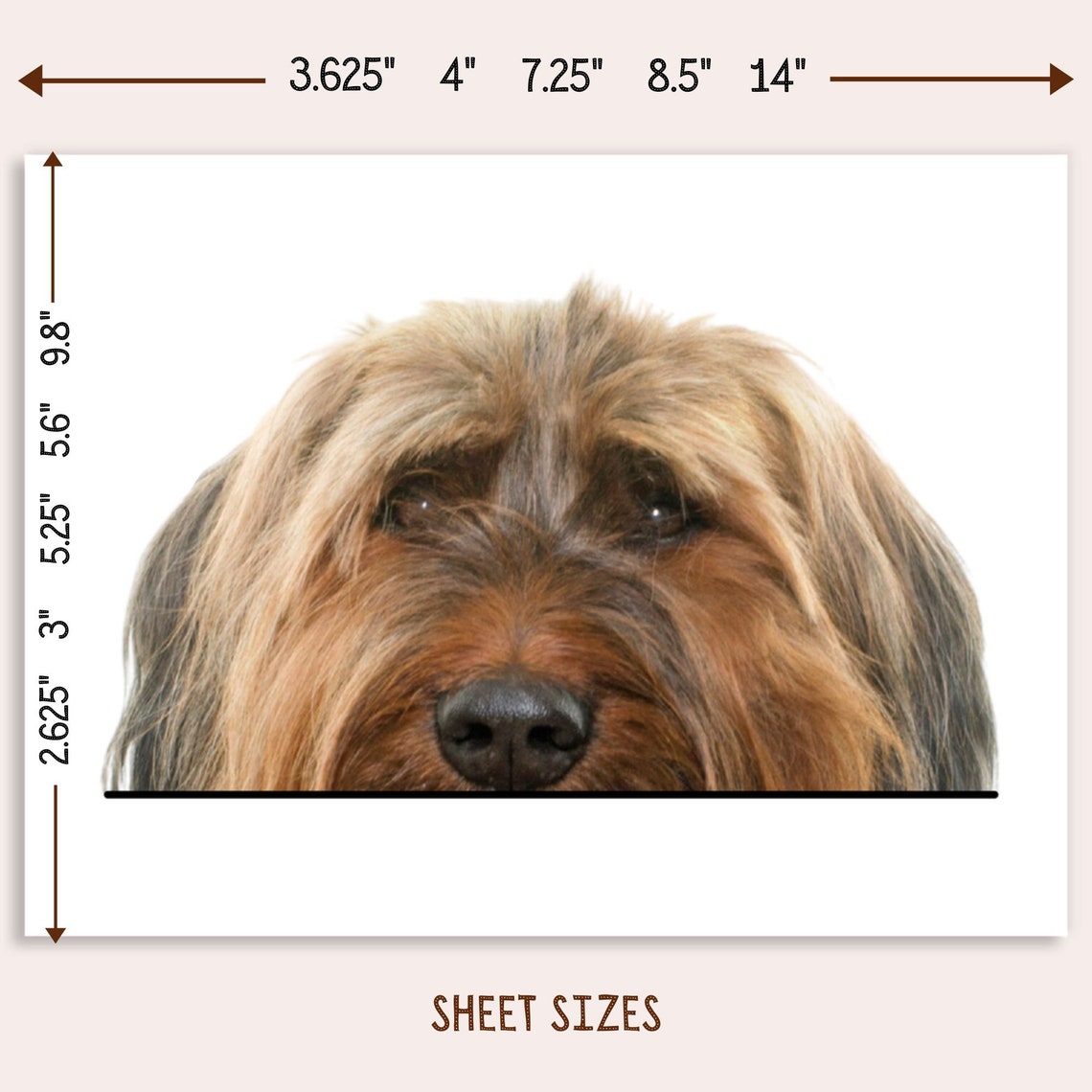 Fawn Red Briard Car Decal Sticker / Peeking Realistic Briard Dog Head ...