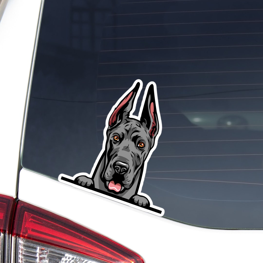 Realistic Great Dane Car Decal Sticker / Peeking Gray Great Dane Dog ...