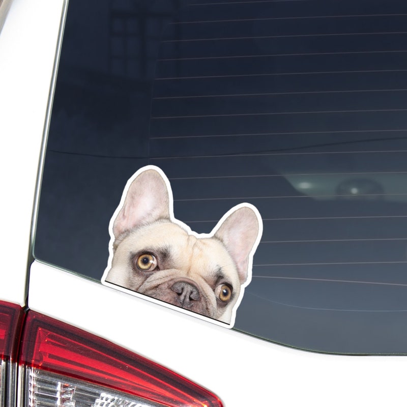 French Decals - Etsy