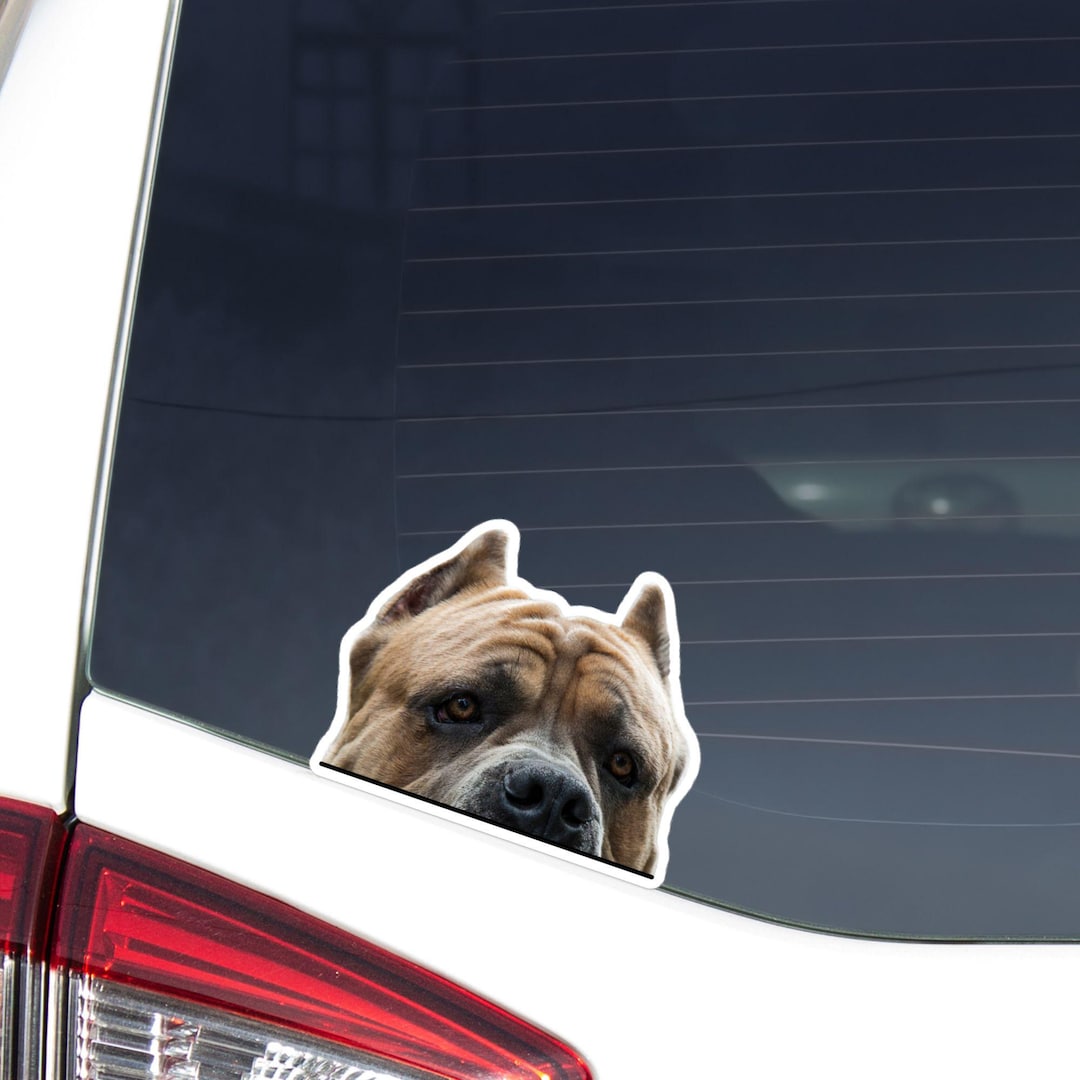 Cane Corso Car Decal: Peeking Red Italian Mastiff Dog Face Bumper ...