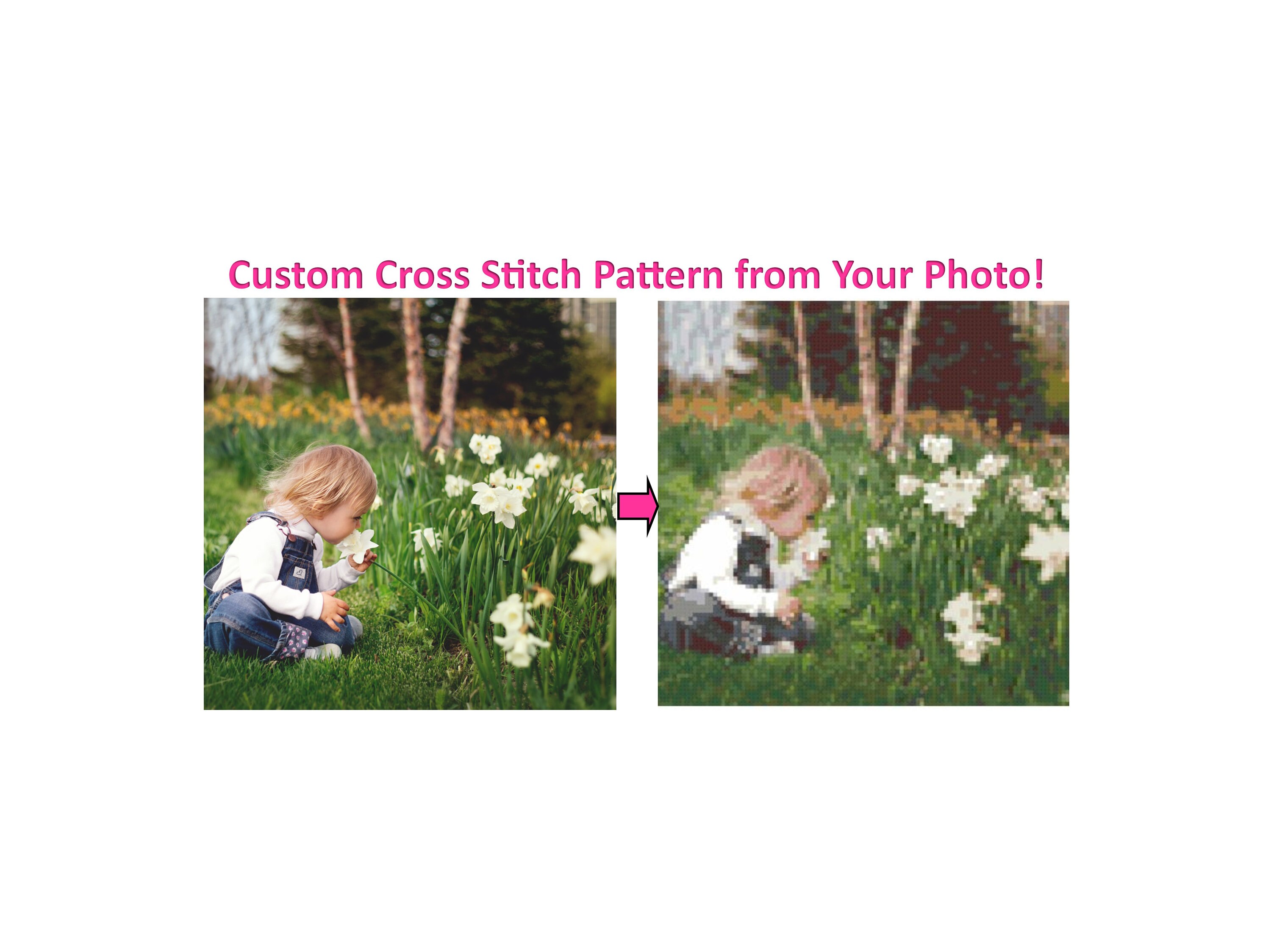 Custom Cross Stitch Pattern From Your Photo - Convert Photo to Cross ...