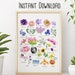 Flower Alphabet Chart, Watercolor Alphabet Chart, Flower Alphabet ...