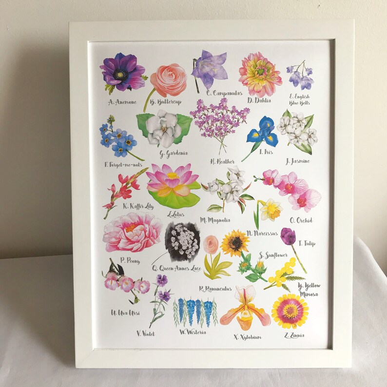 Flower Alphabet Chart Watercolor Alphabet Chart Flower - Etsy