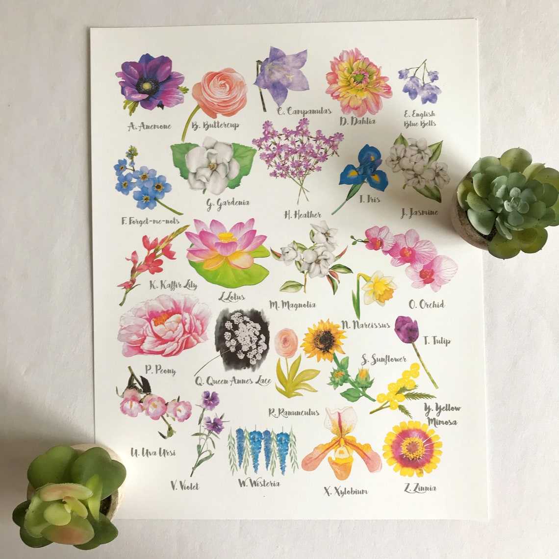 Flower Alphabet Chart Watercolor Alphabet Chart Flower - Etsy