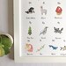 Mountain Alphabet Chart, Forest Alphabet Chart, Adventure Alphabet ...