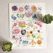 Flower Alphabet Chart, Watercolor Alphabet Chart, Flower Alphabet ...
