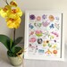 Flower Alphabet Chart, Watercolor Alphabet Chart, Flower Alphabet ...