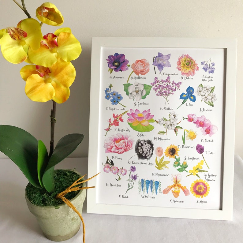 Flower Alphabet Chart, Watercolor Alphabet Chart, Flower Alphabet ...