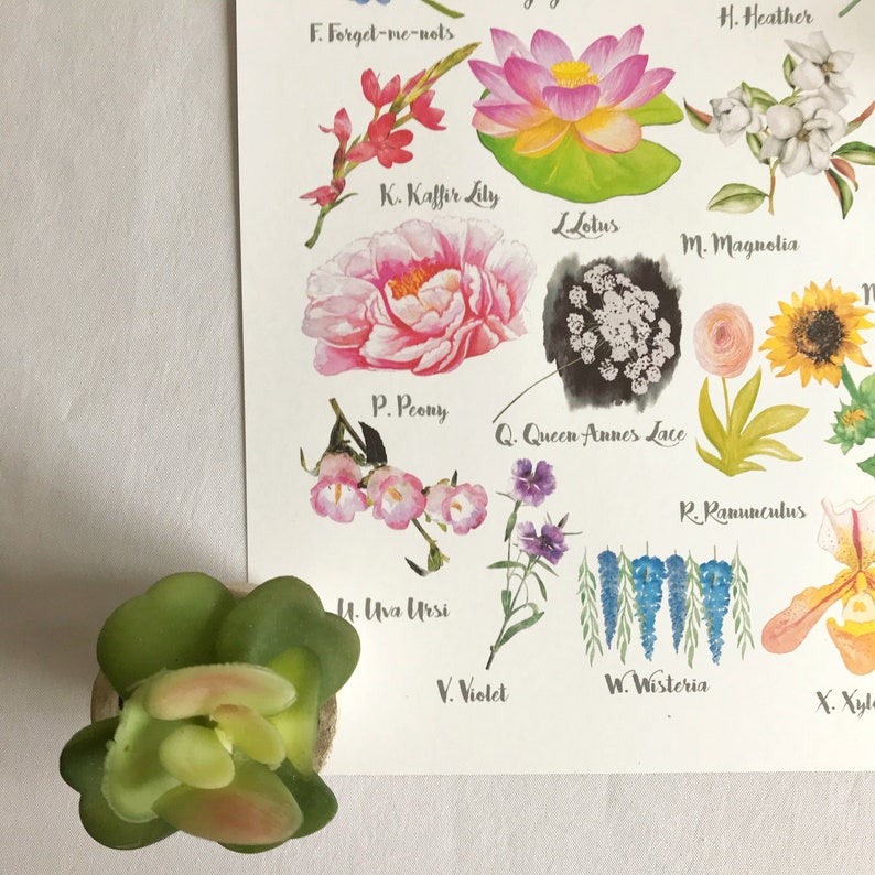 Flower Alphabet Chart Watercolor Alphabet Chart Flower - Etsy