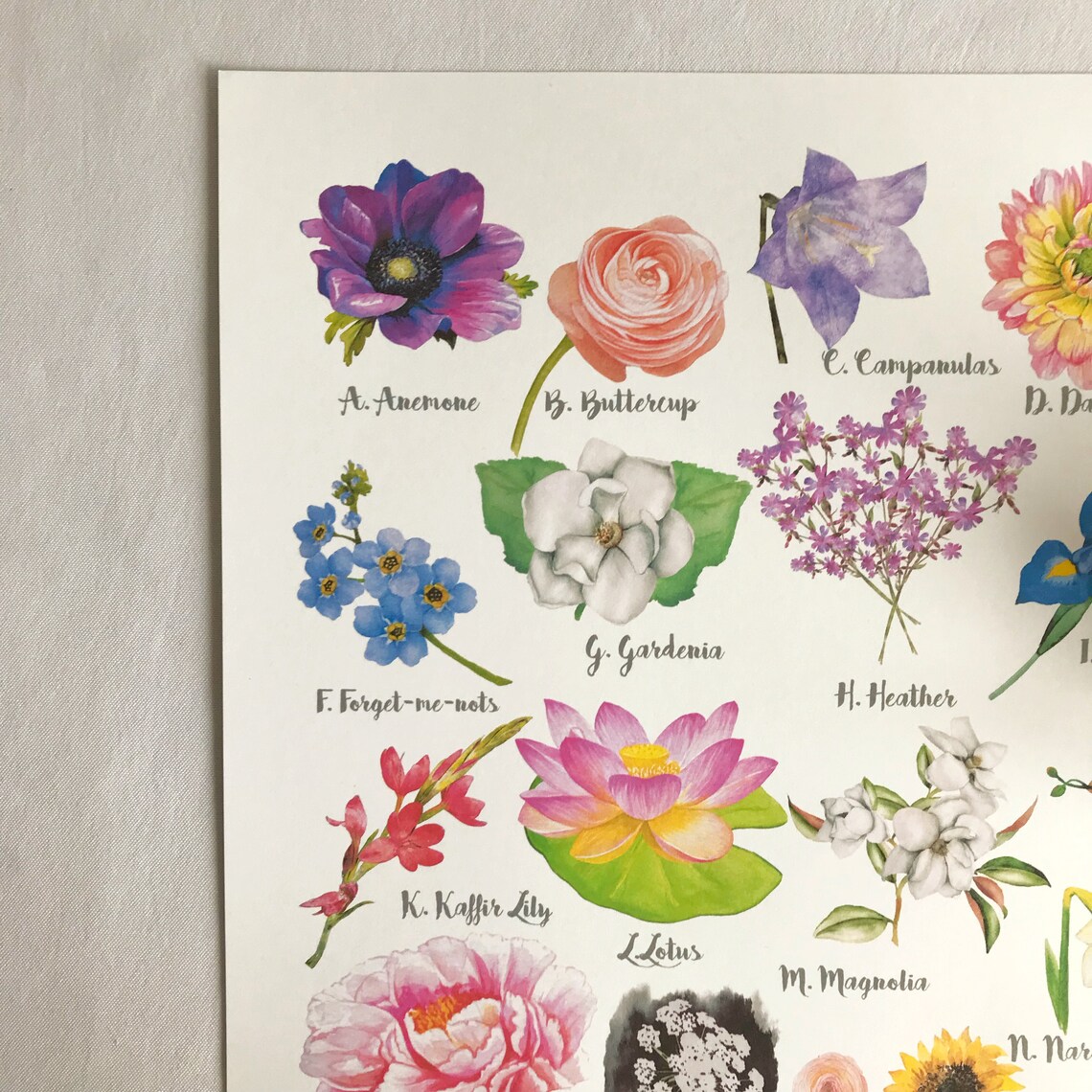 Flower Alphabet Chart, Watercolor Alphabet Chart, Flower Alphabet ...