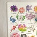 Flower Alphabet Chart Watercolor Alphabet Chart Flower - Etsy