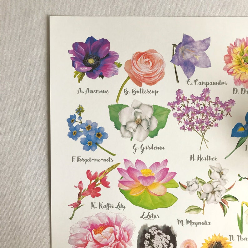 Flower Alphabet Chart Watercolor Alphabet Chart Flower - Etsy