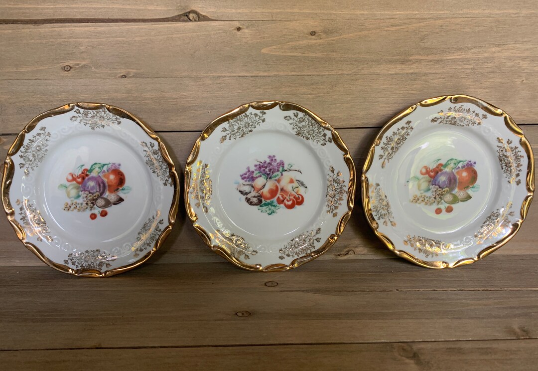 Three Bavaria Plates With Fruits and Nuts Pattern and Gilded Rim - Etsy