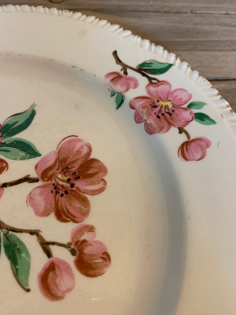 Homer Laughlin Dinner Plate Apple Blossom Pattern in Liberty | Etsy