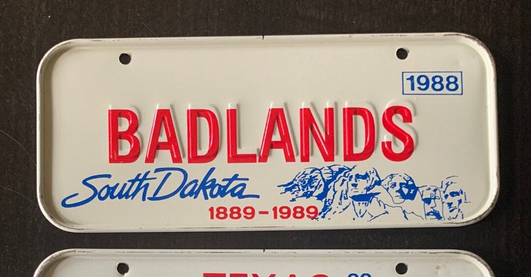 Mini License Plates - South Dakota or Delaware 1988 - Etsy