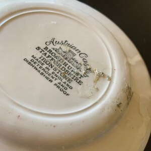 Austrian Castles - Broadhurst Staffordshire Ironstone, Blue and White ...