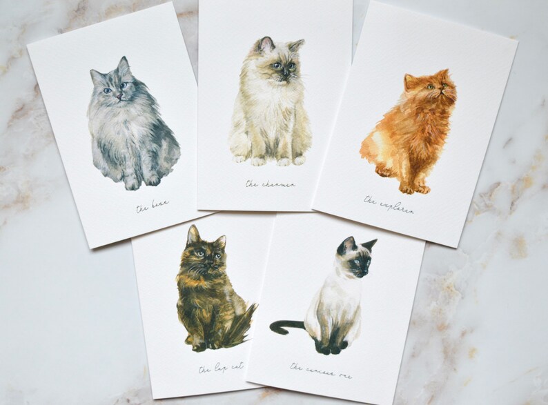 SET OF 5 Illustrated Cat Notelets A6 Size Greetings Cards | Etsy